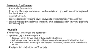 Anaerobes | PPTX