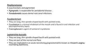Anaerobes | PPTX
