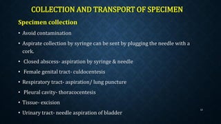 Non sporing anaerobes by rk taram | PPT