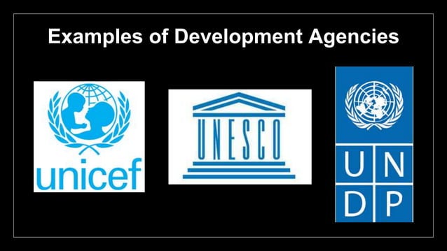 Non-State-Institutions-1.pptx