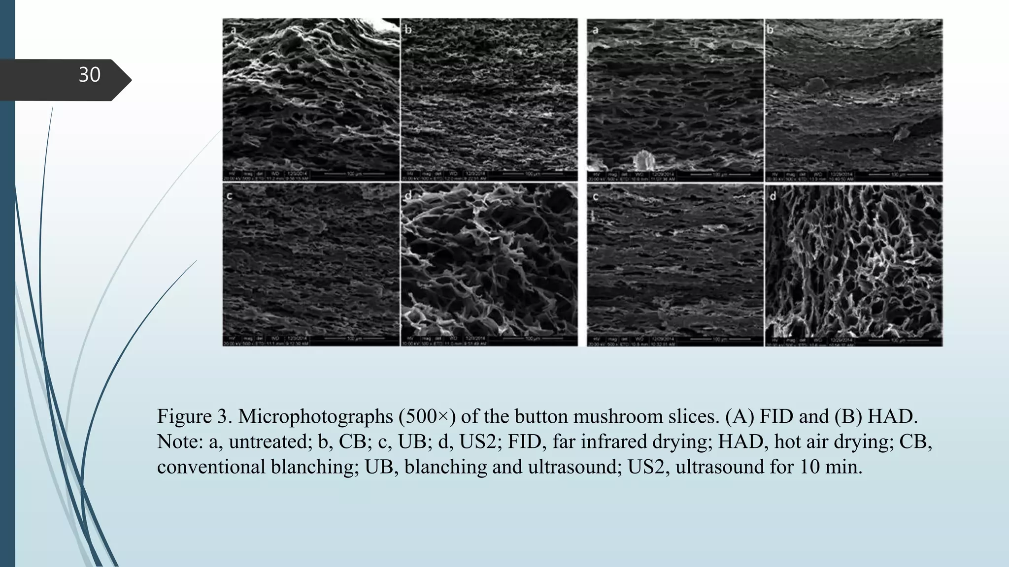 Non thermalh ybrid drying of fruits and vegetables | PPTX