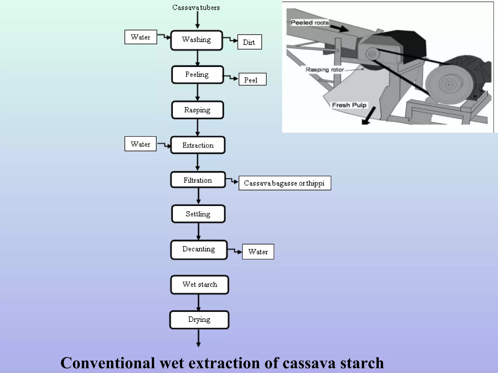 Ultrasound and Ozone processing techniques in cassava starch and Sago industries by Krishnakumar ...