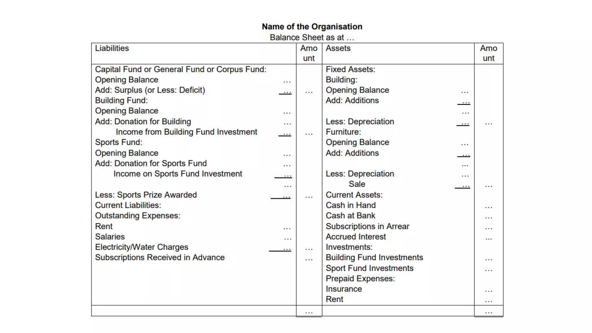 Non-Trading Organisation or NPO | PPTX