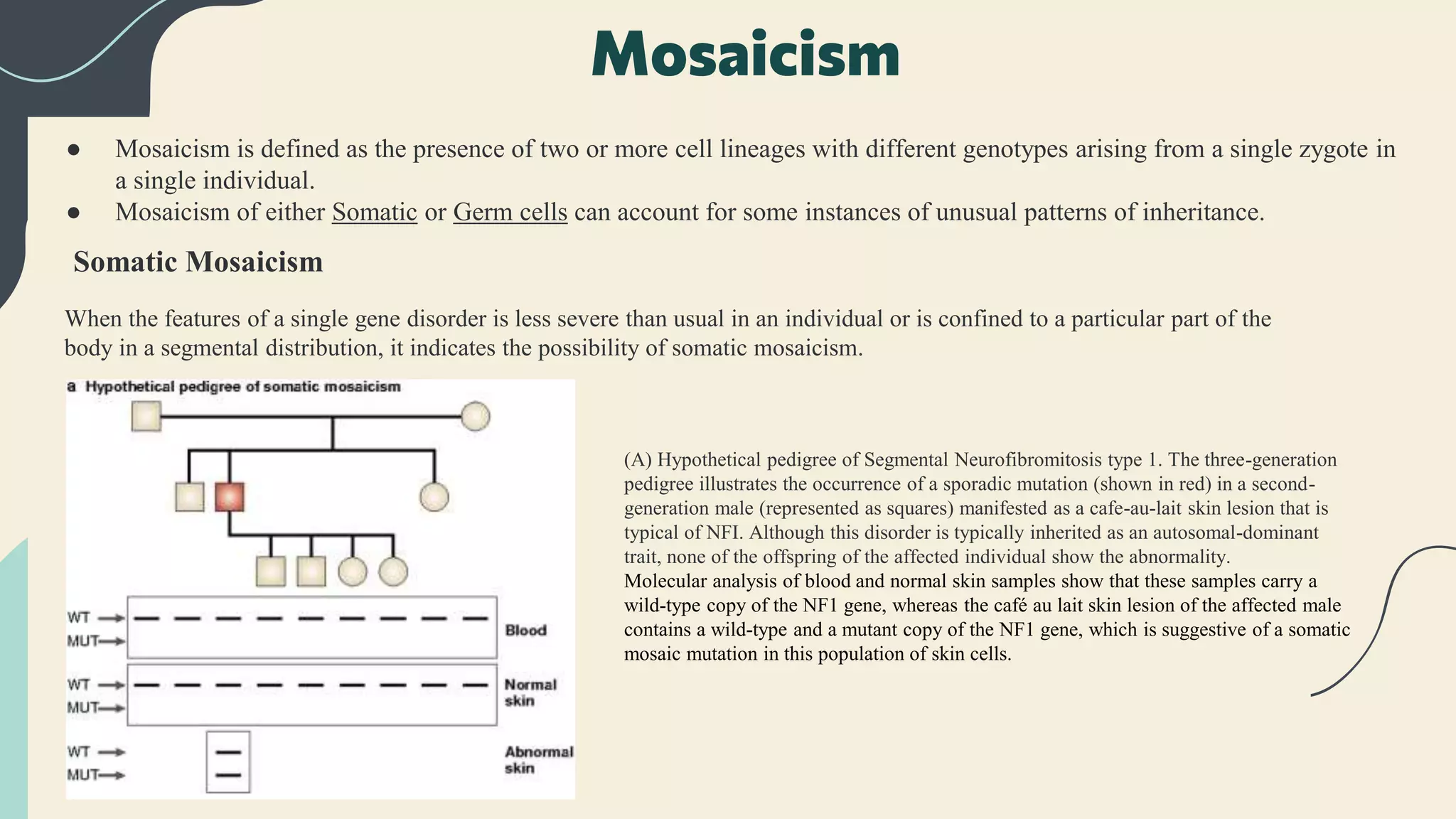 Genetics: Non-traditional Inheritance | PPTX