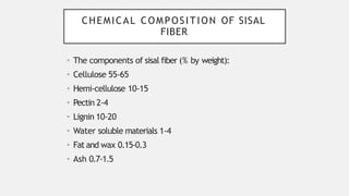 Fiber'.pptx