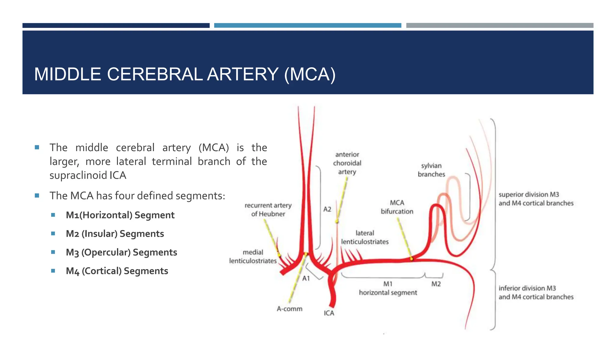 Non-traumatic Vasculogenic Lesions of the Brain | PPTX