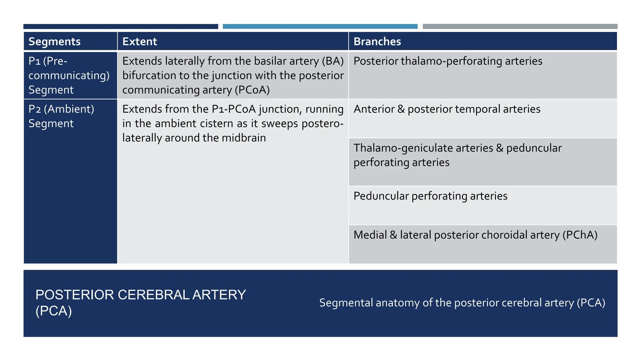 Non-traumatic Vasculogenic Lesions of the Brain | PPTX