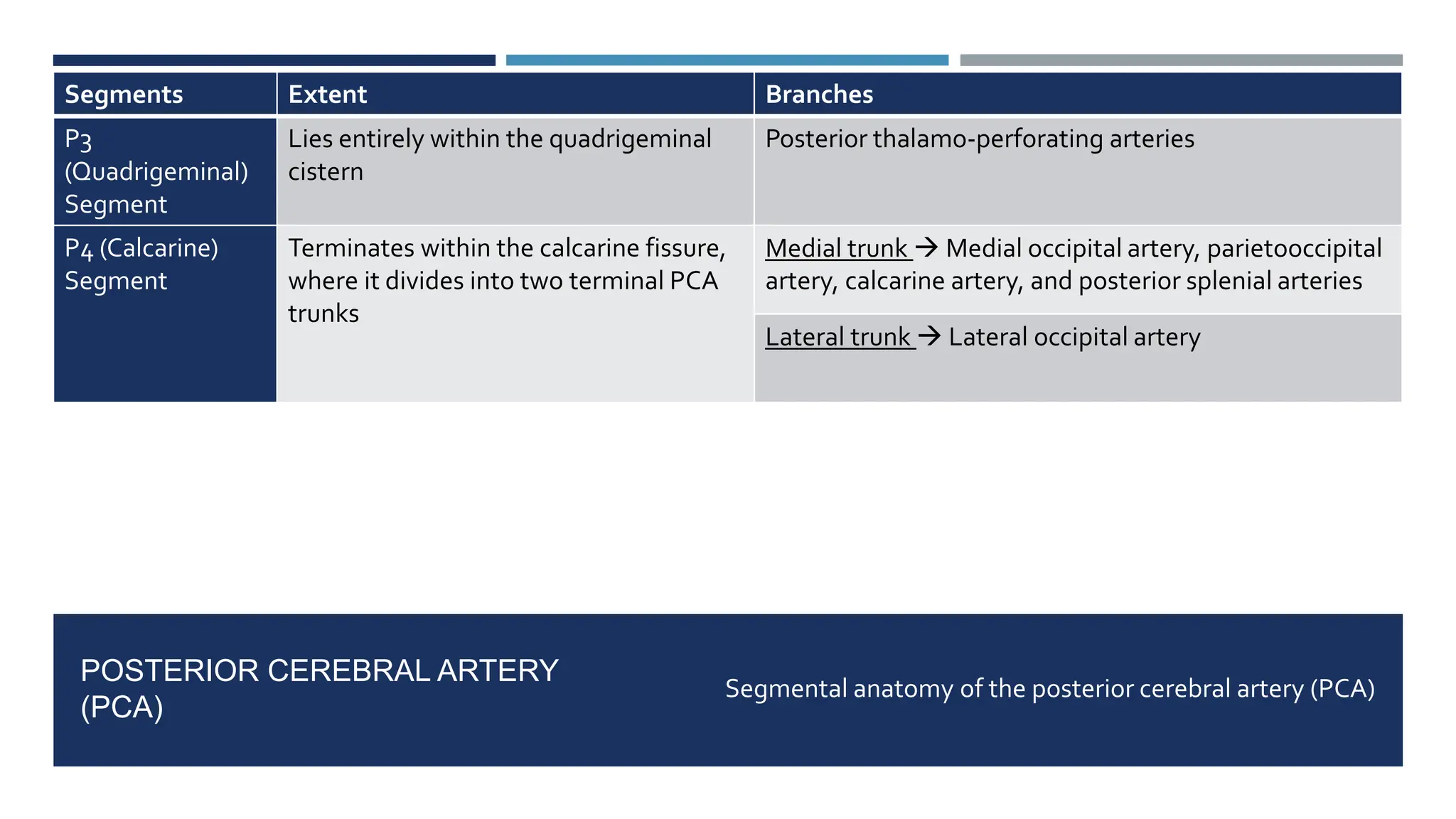 Non-traumatic Vasculogenic Lesions of the Brain | PPTX