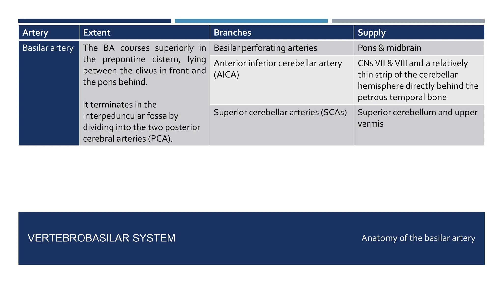 Non-traumatic Vasculogenic Lesions of the Brain | PPTX