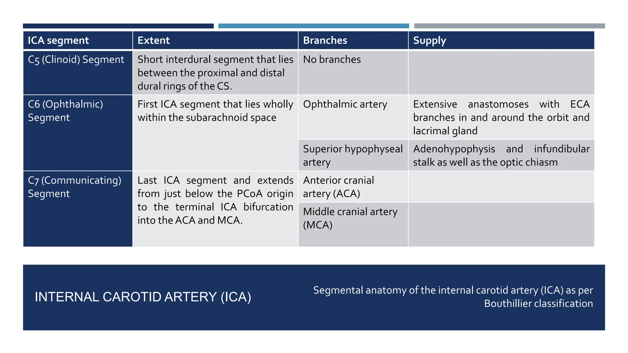Non-traumatic Vasculogenic Lesions of the Brain | PPTX