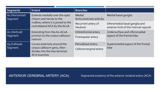 Non-traumatic Vasculogenic Lesions of the Brain | PPTX