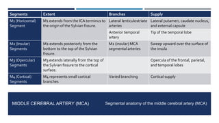 Non-traumatic Vasculogenic Lesions of the Brain | PPTX