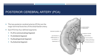 Non-traumatic Vasculogenic Lesions of the Brain | PPTX