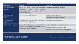 Non-traumatic Vasculogenic Lesions of the Brain | PPTX