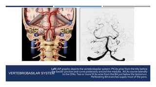 Non-traumatic Vasculogenic Lesions of the Brain | PPTX