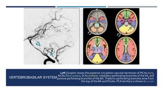 Non-traumatic Vasculogenic Lesions of the Brain | PPTX