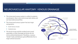Non-traumatic Vasculogenic Lesions of the Brain | PPTX