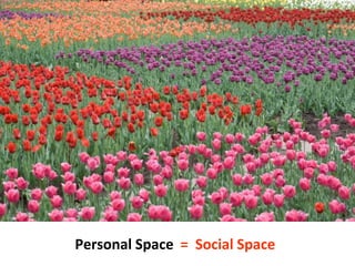 Non-Verbal Communication - Space [Presentation] | PPTX