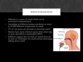 Non verbal message within intercultural communication(olfactics) | PPTX