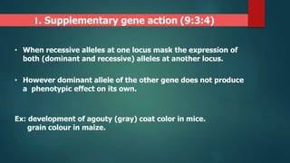Non additive gene action | PPTX