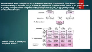 Non additive gene action | PPTX
