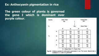 Non additive gene action | PPTX