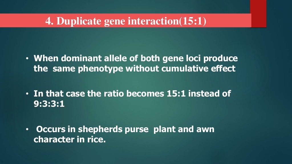 Non Additive Gene Action Non Additive Gene Action