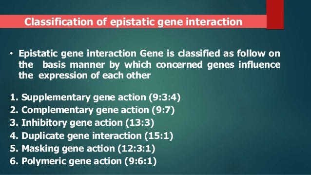 Non Additive Gene Action non-additive-gene-action