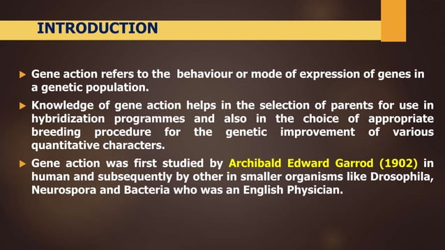 Non additiv final | PPTX | Genetics | Science