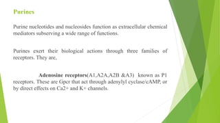 NON ADRENERGIC NON CHOLINERGIC TRANSMISSION.pptx
