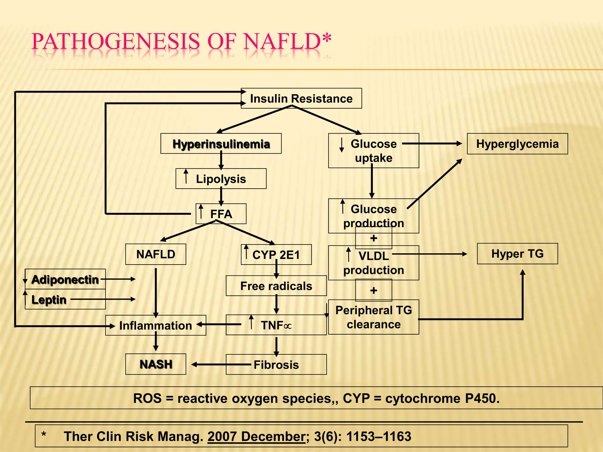 NON ALCOHOLIC FATTY LIVER DISEASES modify (edited by Kyin).pptx