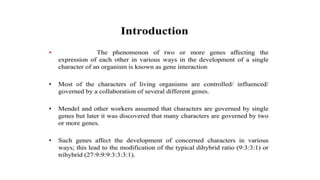 Non allelic gene interaction.pptx