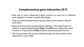 Non allelic gene interaction.pptx