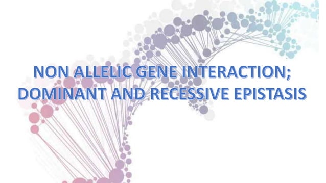 Non allelic gene interaction; dominant and recessive epistasis | PPTX ...