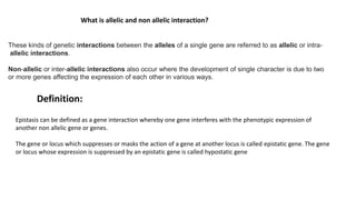 Non allelic gene interaction; dominant and recessive epistasis | PPTX