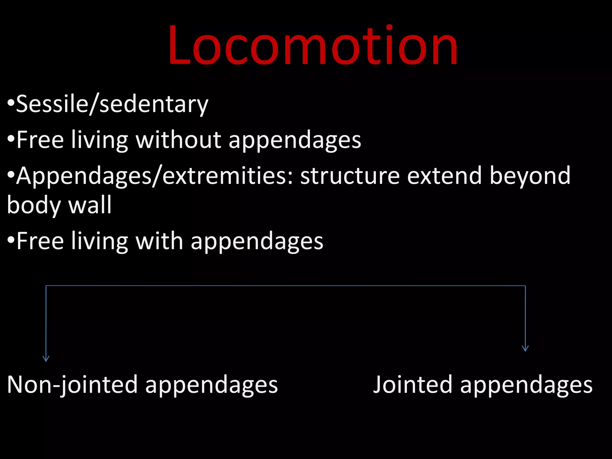 Non jointed and jointed appendages | PPTX