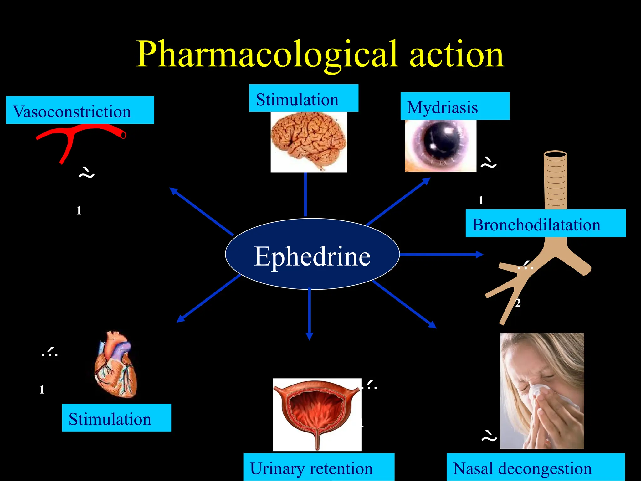 Non Catecholamines. powerpoint presentation | PPTX