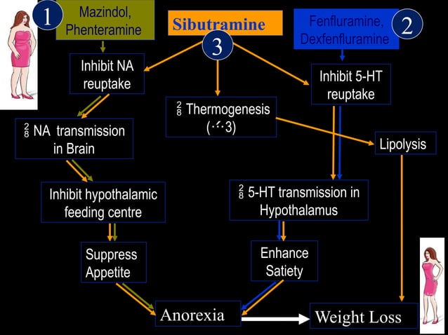 Non Catecholamines. powerpoint presentation | PPTX | Illegal Drugs ...