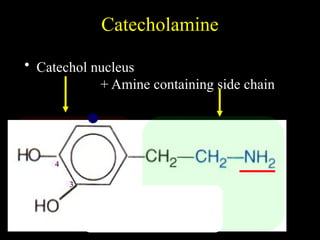 Non Catecholamines. powerpoint presentation | PPTX