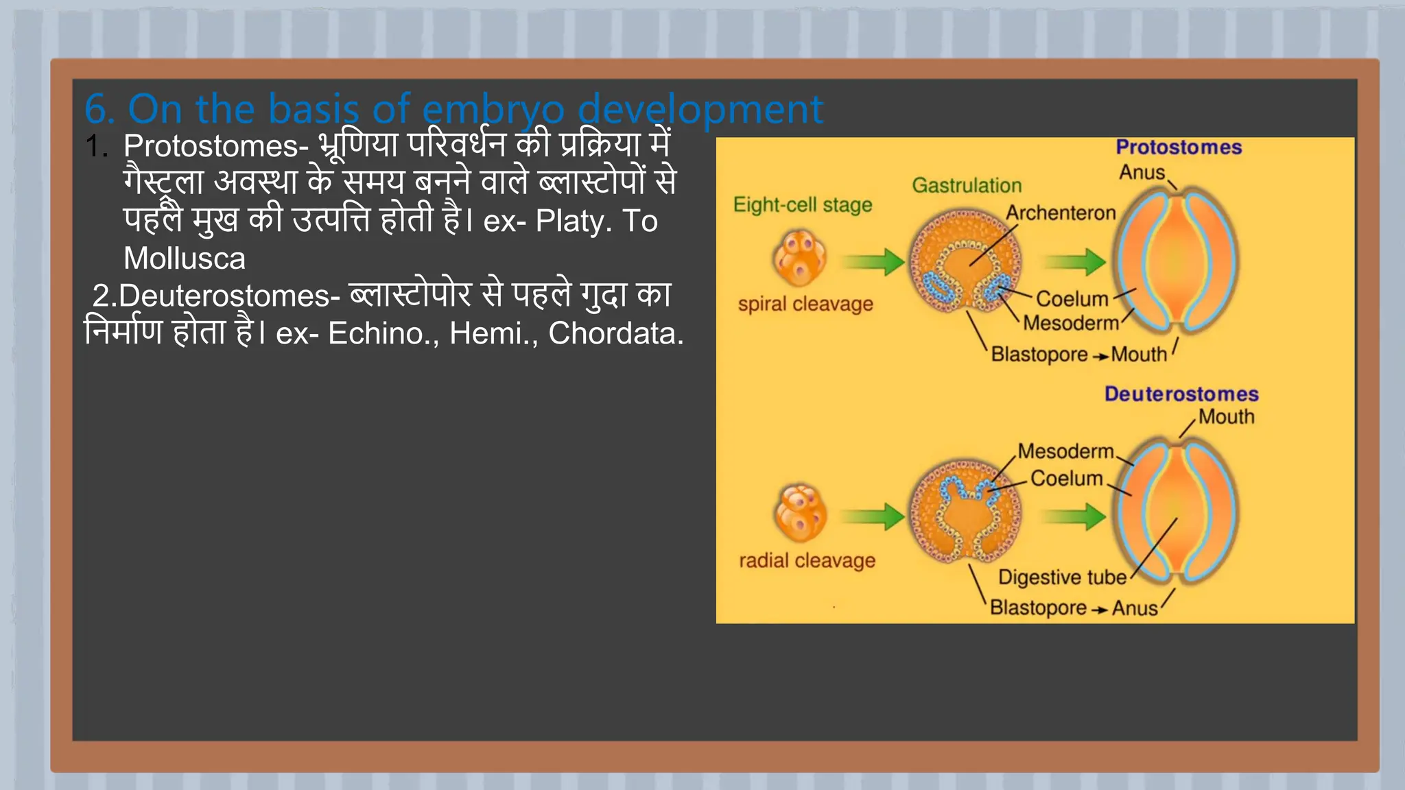 General principle of taxonomy taxon and some definition of species | PPTX