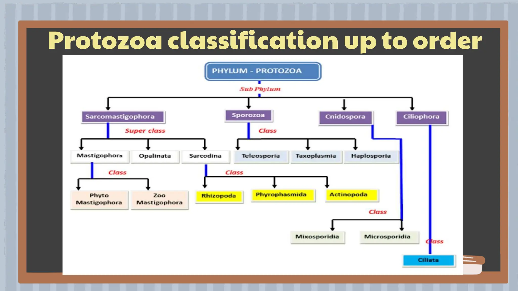 General principle of taxonomy taxon and some definition of species | PPTX