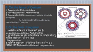 General principle of taxonomy taxon and some definition of species | PPTX