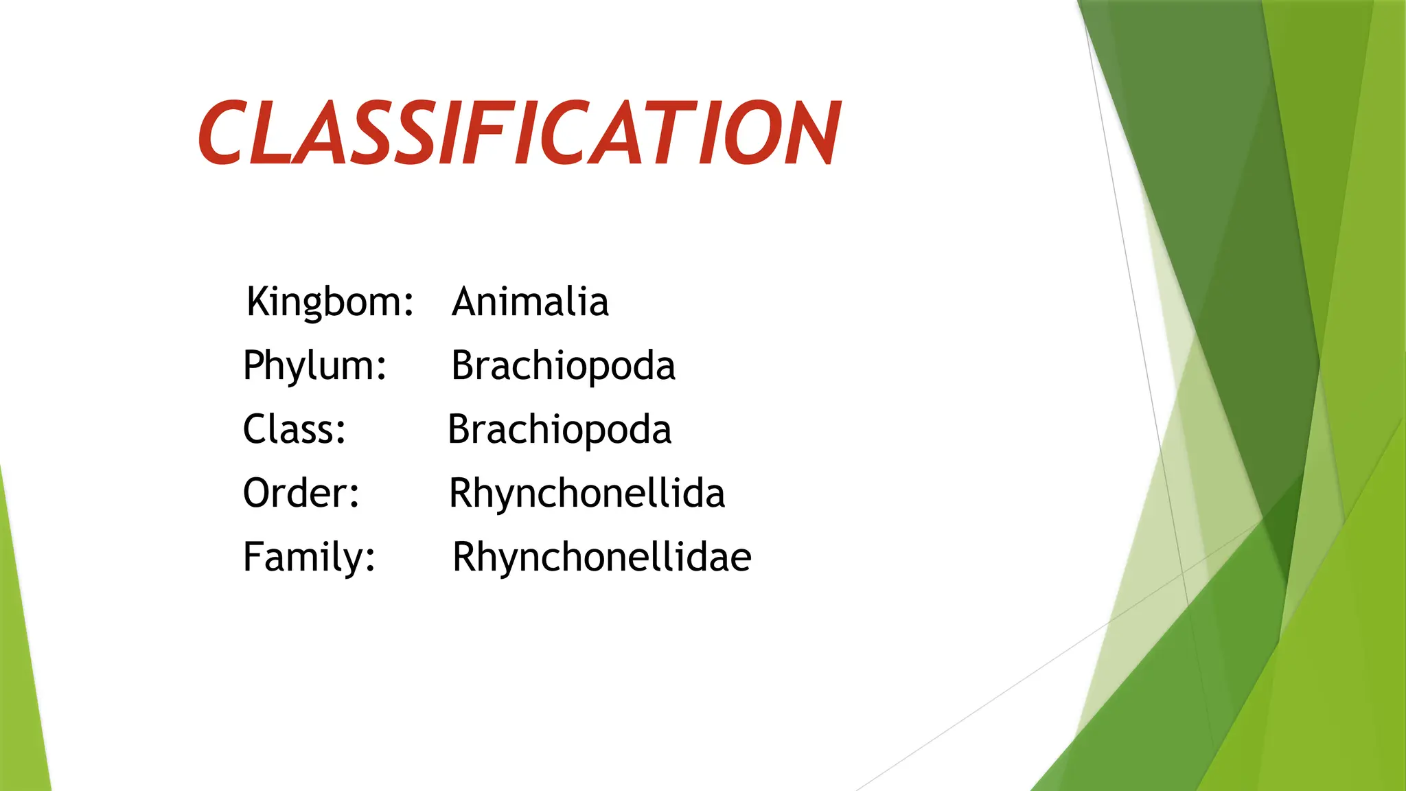 Zoology [ non chordates ] (branchiopoda) | PPTX