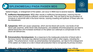 Non Cirrhotic Portal Hypertension in MDS | PPTX