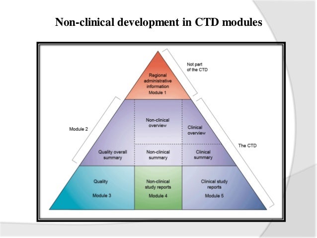 Non clinical drug development. ppt