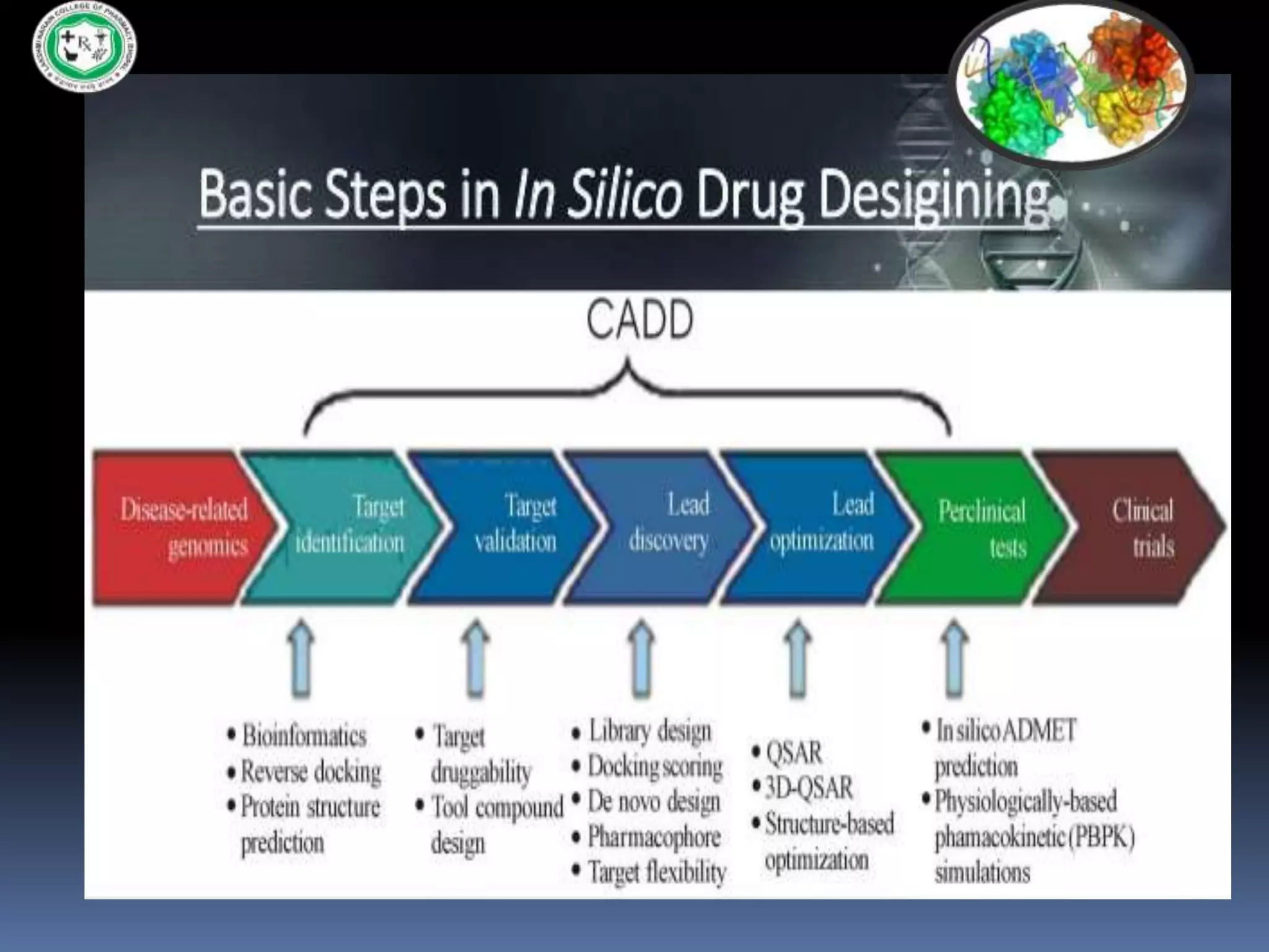 Non clinical drug development | PPTX