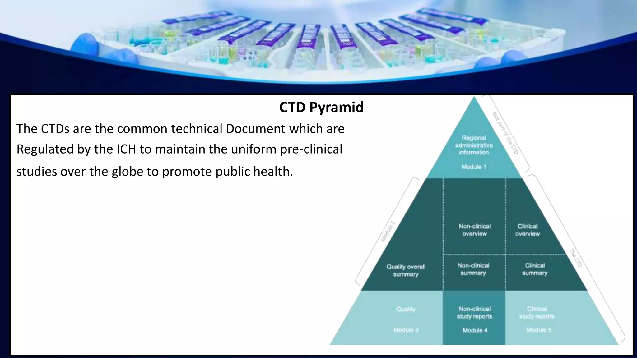 Non clinical drug development | PPTX | Chemistry | Science