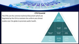 Non clinical drug development | PPTX