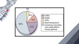 NON CODING DNA.pptx