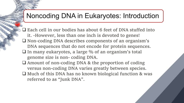 NON CODING DNA.pptx